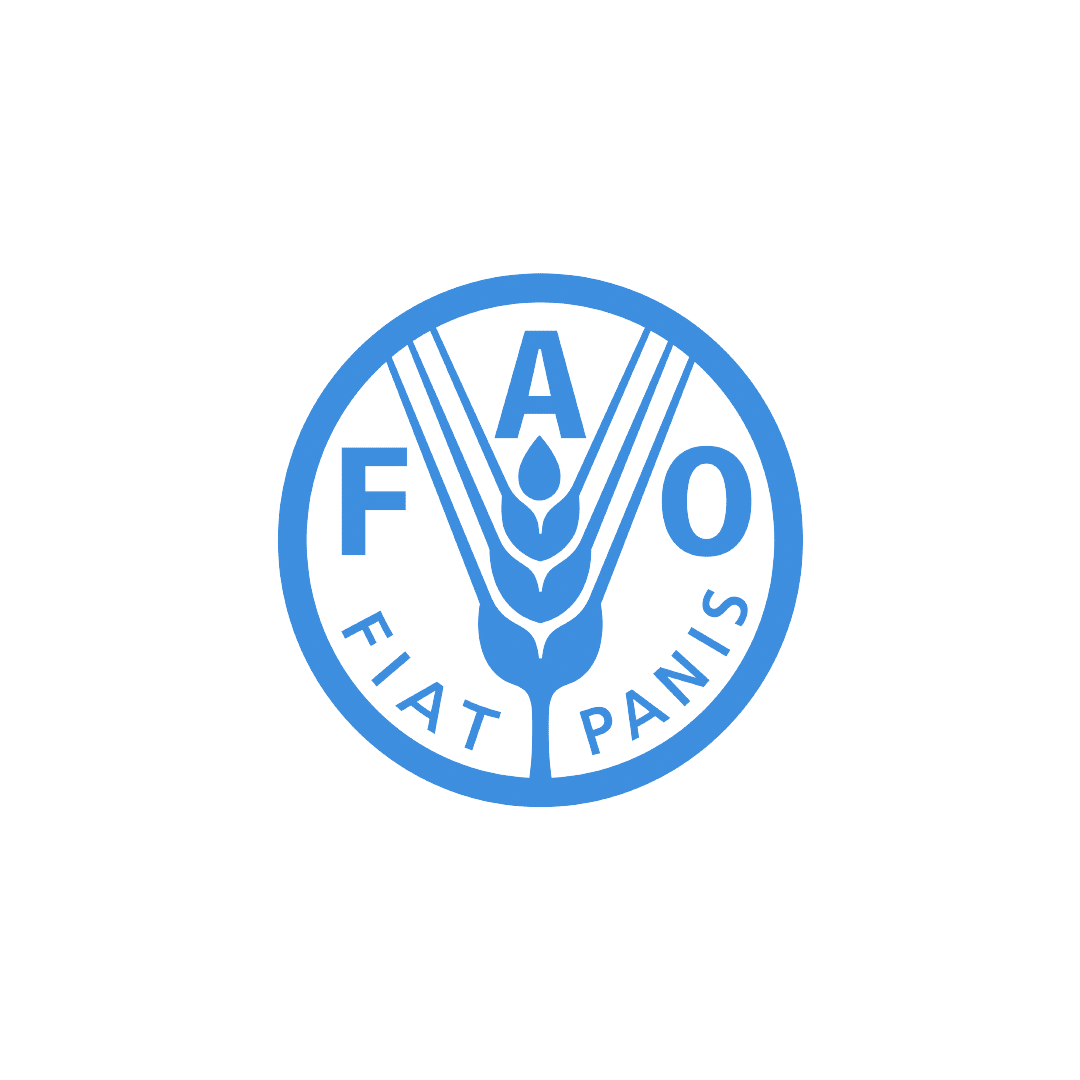 Violet Organization – Relief and Development